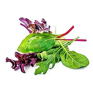 Lettuce Mix Seeds for Planting - Hydroponics - 500 Heirloom Seeds Variety Packet!