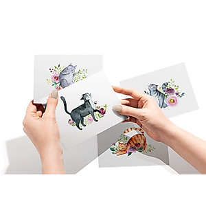 Twigs Paper - Assorted Cat Greeting Cards - Stationery Cards with Envelopes - Thank You Card - Blank Note Cards - Greeting Cards for All Occasions - Made in USA (5.5 x 4.25, Set of 12)
