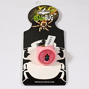 REALBUG Shiny Beetle Pink Ring Size 7