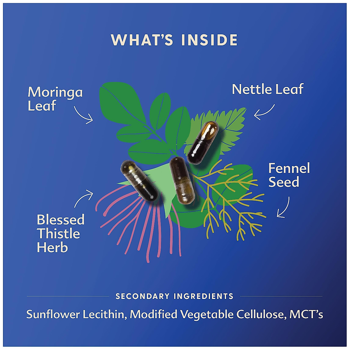 Motherlove More Milk Moringa (60 Liquid caps) Moringa-Based Lactation Supplement to Support Breast Milk Supply—Non-GMO, Organic Herbs, Vegan, Kosher