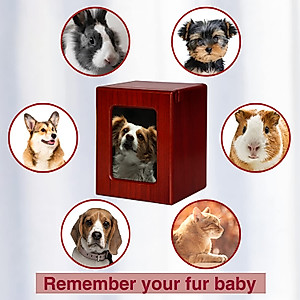 PCS Pet Urns for Dogs Ashes, Dog Photo Urn, Urns for Dog Ashes, Pet Cremation Box Red-Small