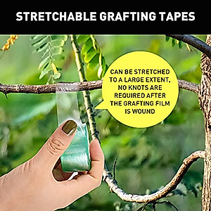 4 Rolls Garden Grafting Tape for Fruit Trees, Plants Repair Tapes, PE Grafting Film, Tree Grafting Supplies, Stretchable Clear Floristry Grafting Film for Garden Tree Seedling (2 Green 2 White)