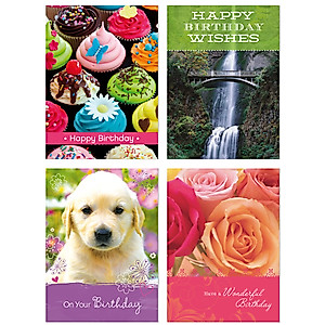 Paper Craft IG98639-RE Religious Birthday Card Assortment Box Set with Envelopes, 12 Cards, 4.75'' W x 6.5'' H, Cupcake, Waterfall, Puppy, and Floral Photography