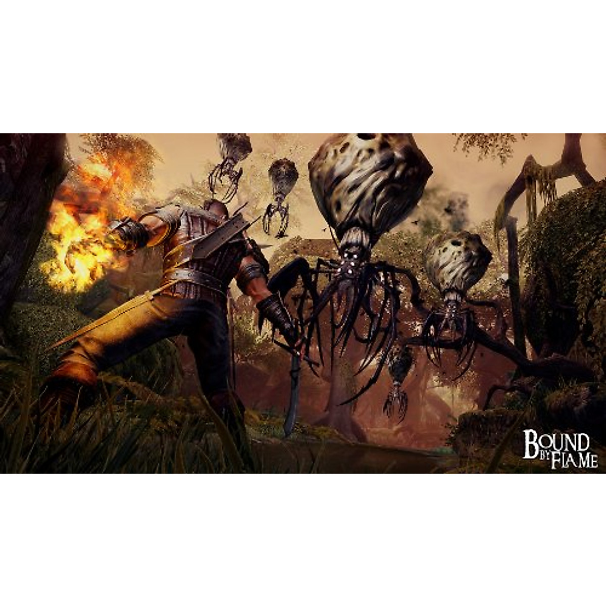 Bound by Flame - PlayStation 4 Standard Edition