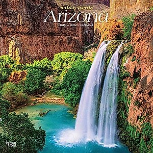 Arizona Wild & Scenic | 2023 12 x 24 Inch Monthly Square Wall Calendar | BrownTrout | USA United States of America Southwest State Nature