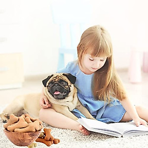 Crethinkaty 1 Pcs Bone Cookie Cutter, Plastic Cartoon Dog Bone, 3 Various Size for DIY Baking Fondant Biscuit Pastry Dog Treats