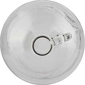 Glass Money Jar - 1 US Gallon - Holds Over $2,000 in $1 Coins!