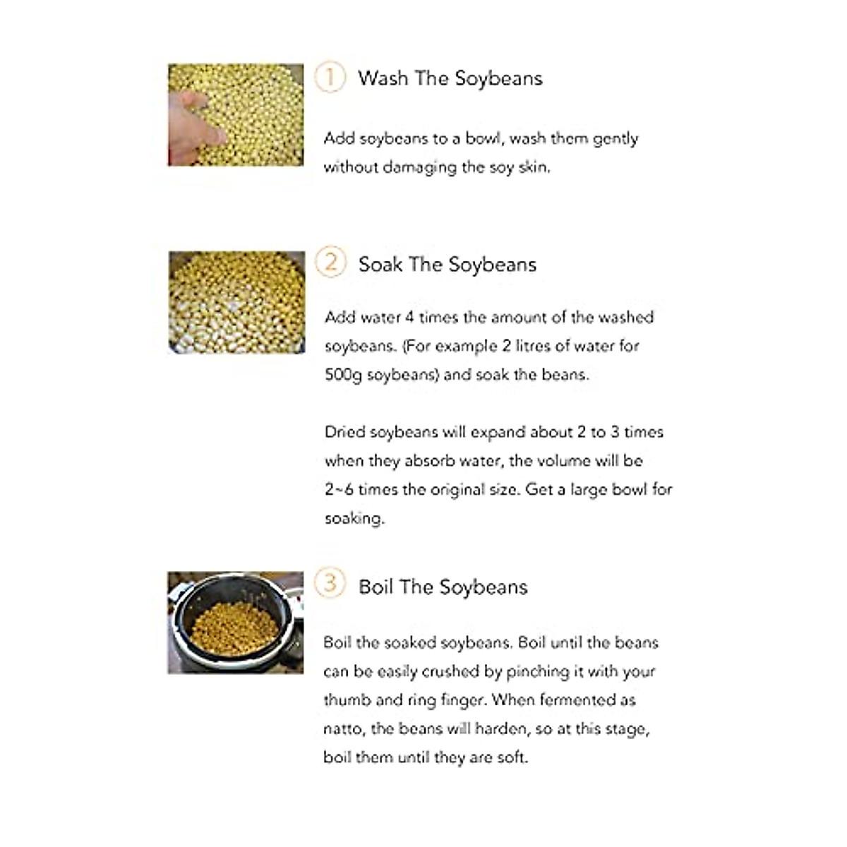 KAWASHIMAYA Natto Starter Spores Powder 0.3 oz (10g), Can Make up to 100kg Natto, 100% Made from Organic Soybean Extract, Made in Japan