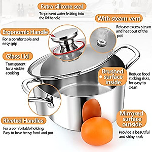 P&P CHEF 4 Quart Stockpot with Lid, Stainless Steel Tri-Ply Cooking Soup Pasta Stock Pot for Gas/Induction/Electric Stoves, With Glass Cover & Two Handles, Heavy Duty & Dishwasher Safe