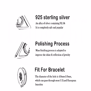 HappyStar 925 Sterling Silver Charms for Pandora Charms Bracelets and Necklaces Beads Charms Jewelry Mother's Day Gift for Women （With one Spacer Bead Charms