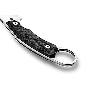 LionSTEEL H2 Karambit Style Fixed Blade EDC Hunting Hiking and Outdoor Knife, G10 and Micarta Handles, M390 Super Steel, Leather Sheath Included, Black G10