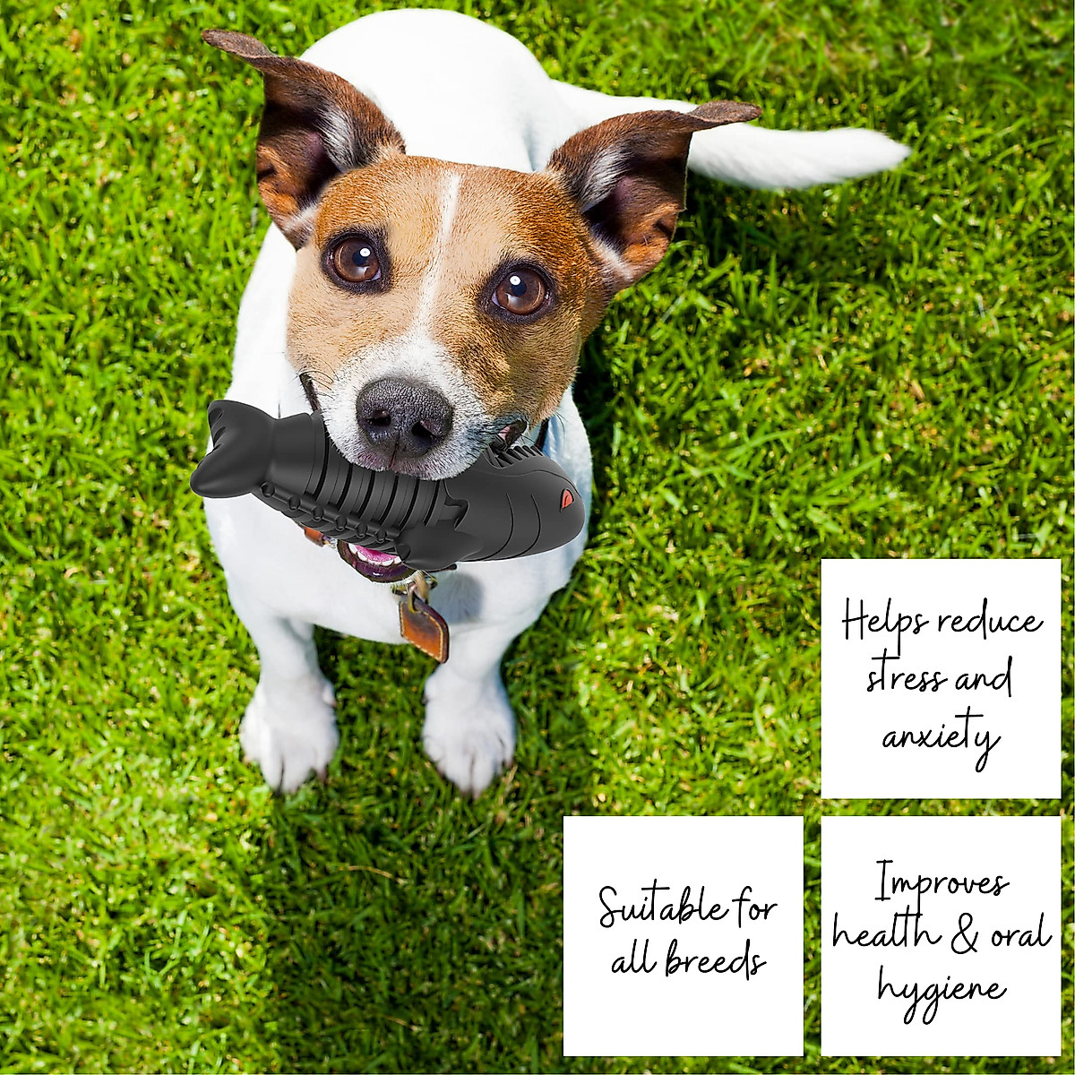 Dog Toys, Squeaky Dog Chew Toy - Tough & Durable Natural Rubber Dog Toy & Toothbrush for Pet Dental Care & Healthy Gums