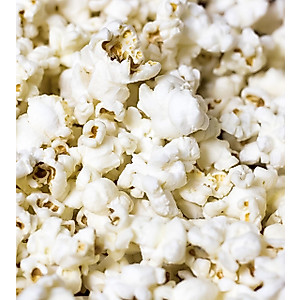 crait Carnival King All-In-One Popcorn Kit for 4 Ounce Popper – 16 Cups of Popped Popcorn Per Packet – Easy to Use Popcorn Portion Packs (5 Pack)