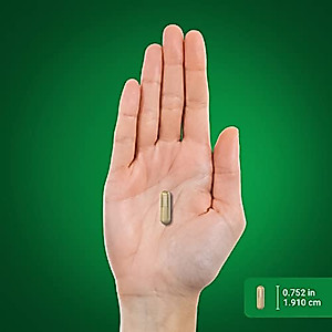 Piping Rock Ginkgo Biloba 120mg | 200 Capsules | Standardized Extract Supplement | Non-GMO, Gluten Free