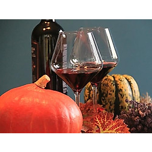 Stolzle Revolution Burgundy Wine Glasses, 19 oz (Set of 6)