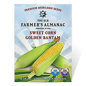 The Old Farmer's Almanac Heirloom Sweet Corn Seeds (Golden Bantam) - Approx 75 Seeds - Non-GMO, Open Pollinated, USA Origin