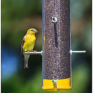 Wagner's 62050 Nyjer Seed Wild Bird Food, 10-Pound Bag