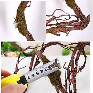 CONGZHANHH 98in Bendable Wall Hanging Artificial Cherry Blossom Tree Vines Fake Reptile Plants Branches Twigs Trunk Garland for 3D Outdoor Bedroom Garden Home Background Halloween X'Mas Decoration