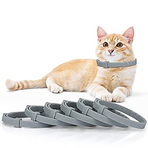 Anipaw Calming Collar for Cats 6 Pack Cat Calming Collar Relaxing Cat Pheromone Collar Adjustable Breakaway Design for Small Medium Large Cats Kitten Peeing Relieve Anxiety and Stress(Grey)