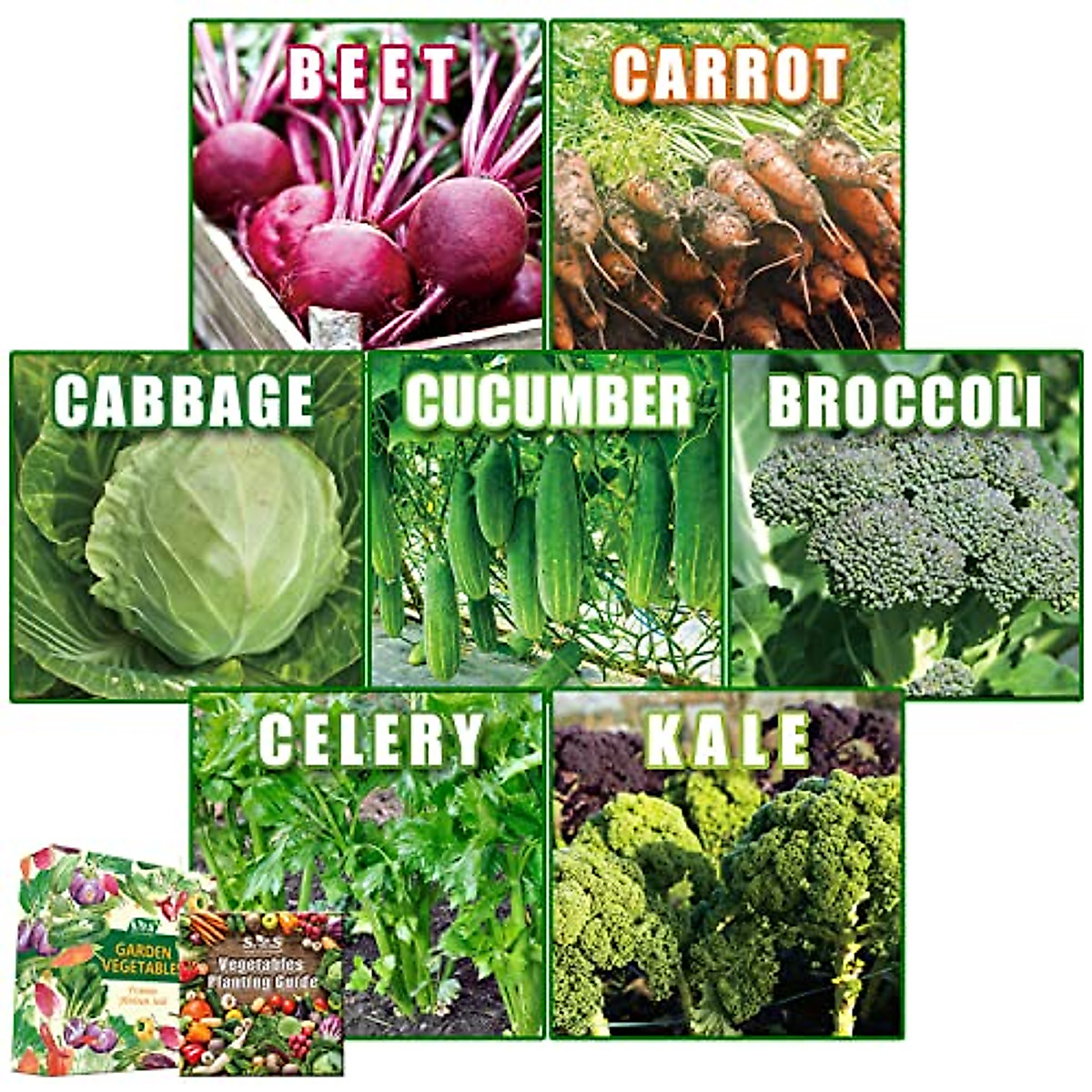 Heirloom Vegetable Seeds Variety 7 Pack — Includes Beet, Broccoli, Cabbage, Carrot, Celery, Cucumber and Kale — Vegetable Garden Starter Kit (7 Variety A)