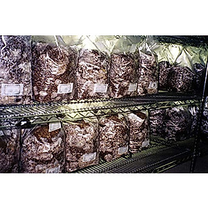 MushroomMediaOnline - 100% Soy Hull Mushroom Pellets - Ideal and Fast-Growing Substrate for Mushroom Cultivation, Oyster Mushrooms, Shiitake, and More (10 Pounds)