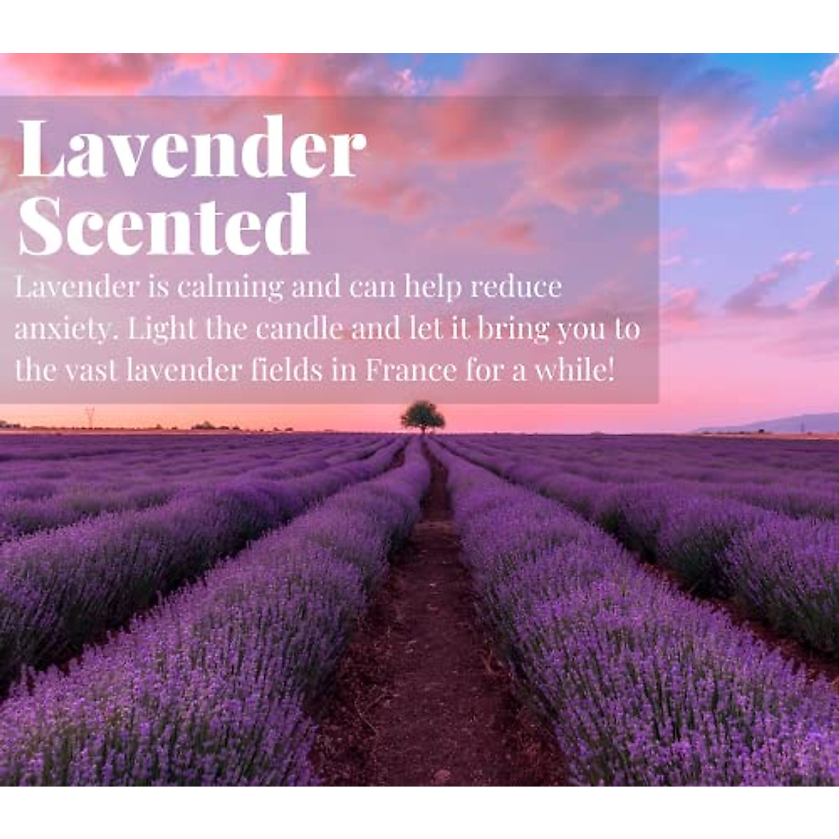 Funny Retirement Gifts for Women and Men, Happy Retirement Gifts for Friends, Coworker on Retirement Day, 7oz Soy Wax Lavender Scented Candle - Goodbye