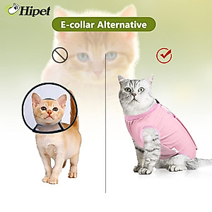hipet Cat Surgery Recovery Suit for Abdominal Woundsor or Skin Diseases,Substitute E-Collar & Cone,Cat Onesie After Surgery Wear Anti Licking