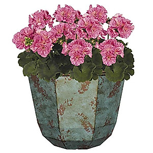 Classic Home and Garden 9010D-379R Premiere Collection Planter, Rosie 10", Northern Lights