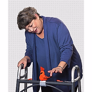 Joy For All Ageless Innovation Companion Pet for Seniors - Walker Squawker - Lifelike Animatronic Bird - Interactive Chirping - Walker Accessories - Therapy Toys for Alzheimers & Dementia - Bluebird