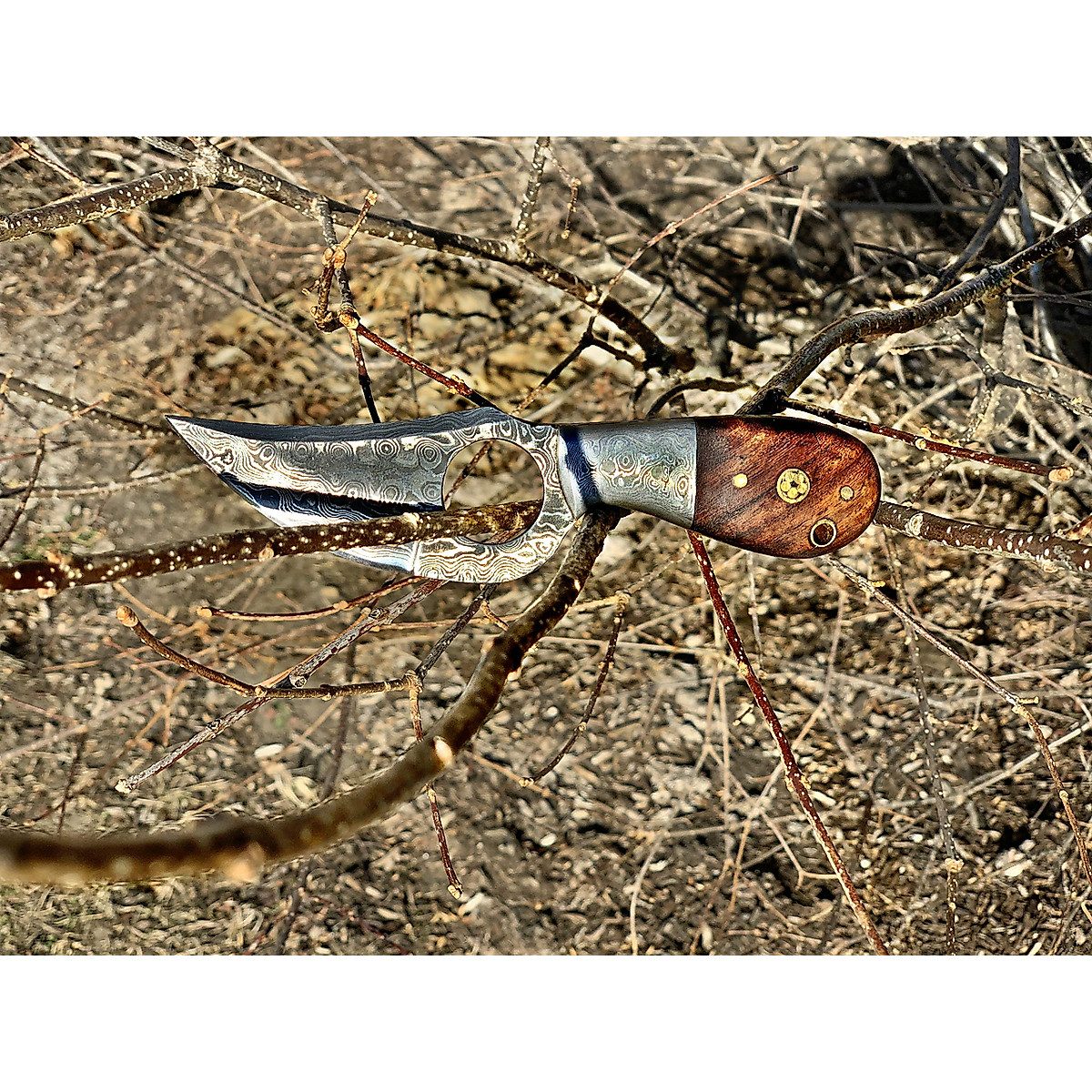 Titan International Knives New Damascus Small Skinner Fixed Blade Knife with wooden Handle Perfect EDC Hunting knife | outdoors and camping gear | 3 inch blade with Leather Sheath