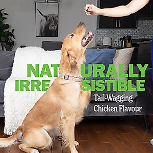 Deley Naturals Dog Calming Chews - Calming Chews for Dogs to Help Stress & Travel Sickness - Dog Calming Treats with Chamomile, Valerian Root and L-Tryptophan - 120 Calming Dog Treats Made in The USA