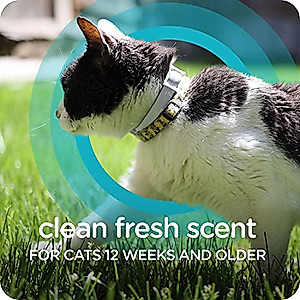 Sergeant's Guardian Pro Flea & Tick Cat Collar, 1 Count