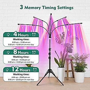 AMBOR Grow Lights for Indoor Plants with Stand, [5-Heads] Floor Plant Light, 150W Full Spectrum LED Plant Grow Lamp with 4 8 12H Timer, 10 Dimmable Brightness, Remote Control and Auto ON/Off