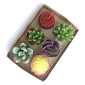 WANGMINGTU Succulent Cactus Tea Light Candles Unscented 6pcs Assorted for Birthday Party Favors Wedding Decor Gift Sets