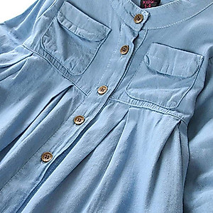 Baby Girls Kid Ruched Long Sleeve T-Shirt Tops Shirt Clothing Children Autumn Winter Fashion Blouse (Blue, 3T)