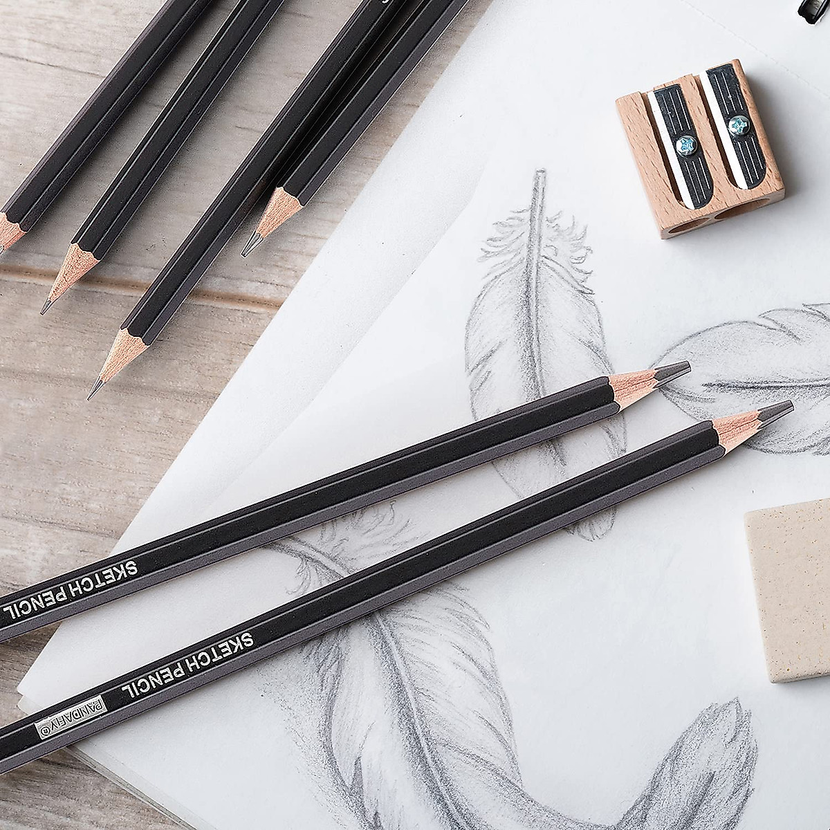 PANDAFLY Professional Drawing Sketching Pencil Set - 12 Pieces Graphite Pencils(14B - 2H), Ideal for Drawing Art, Sketching, Shading, Artist Pencils for Beginners & Pro Artists