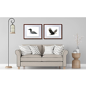 Loon Watercolor Print (8x10 inches)