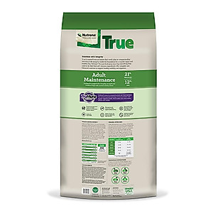 Nutrena True Adult Maintenance 21/12 Dog Food