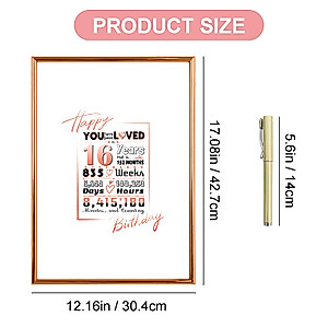 Vuzvuv 12x16 Framed Sweet 16th Birthday Party Decorations for Girl with Pen & Gold Rose Frame, Sweet 16 Party Decorations Signing Board Guest Book, Funny 16th Birthday Gifts for Girl Friend Daughter