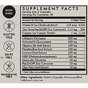 TERRA ORIGIN Healthy Gut Capsules with Vitamin D | 60 Capsules | Digestive Support, intestinal Permeability, IBS, Bloating, Gas and Constipation* 30 Servings/60 Capsules