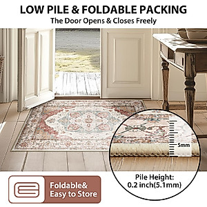 RELEANY 5x7 Area Rugs Machine Washable 5x7 Rug Low Pile Carpet No Shedding Area Rugs for Living Room Bedroom Dining Room Kitchen Entrance Indoor-Brick/Pink