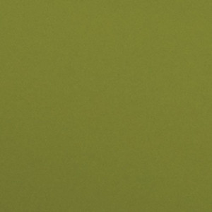 Rachael Ray Dinnerware Round & Square 12-Inch Stoneware Divided Dish, Green