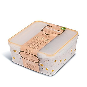 Brooklyn Steel Co. 6 Container Printed Snap Lid Square Food Storage Set - Spring Bees