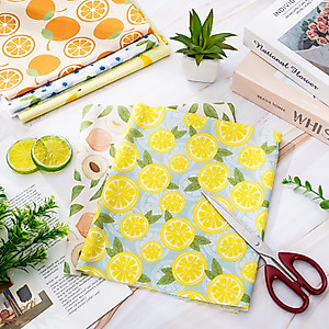 JarThenaAMCS 12Pcs Fruit Cotton Fabric Bundles Colorful Fruit Theme Fat Quarter Summer Quilting Patchwork for DIY Handmade Sewing Crafting, 18 x 22 Inch