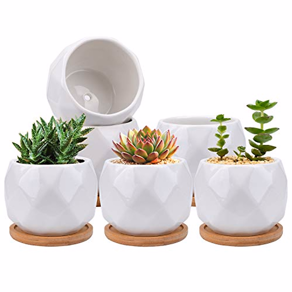 Jucoan 6 Pack Ceramic Succulent Planter Pot with Bamboo Tray, 4 Inches Small White Diamond Shaped Cactus Herb Flowers Planter with Drainage Hole