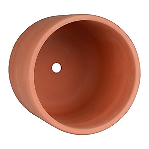 Thirtypot Terracotta Succulent Planter Pot with Drainage Hole, Large Round Shallow Bonsai Pot for Indoor Plants