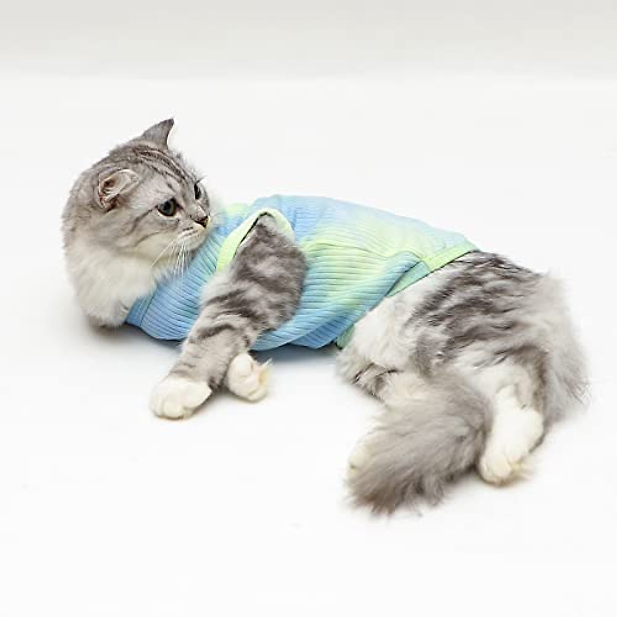 Neiwech Dog Sweaters for Small Dogs Knitted Pet Dog Sweater Soft Warm Dog Sweatshirt Dog Winter Clothes Puppy Sweater Blue Green S