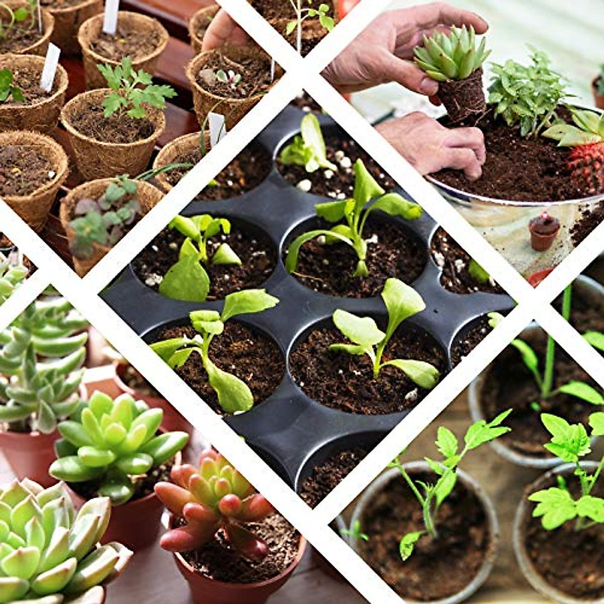 30pcs 40mm Expanding Coir Fiber Potting Soil- Nursery Compressed Organic Plant Soil Easy-to-Store Coco Coir Pellet Fiber Soil Indoor Seed Starters Kit for Window Herb Flower Microgreens Succulent