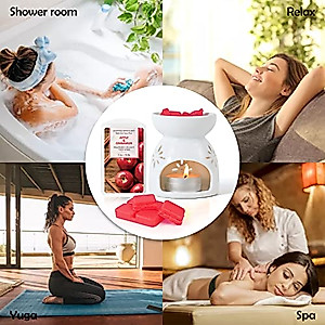 STRN Wax Melts Wax Cubes, Wax Melts Scented, Wax Cubes, Wax Cubes for Wax Warmer, Candle Wax Melts, Scented Wax Melts Apple Cinnamon