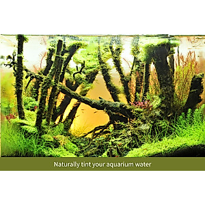 Snout and Shell 10 Mini Coconut Botanical Pods - Aquarium Pods Reduce Algae & freshen Tank Water - Terrarium, Vivarium & Aquarium Decor & Natural Tannins, Brown, 1-1.5 inches